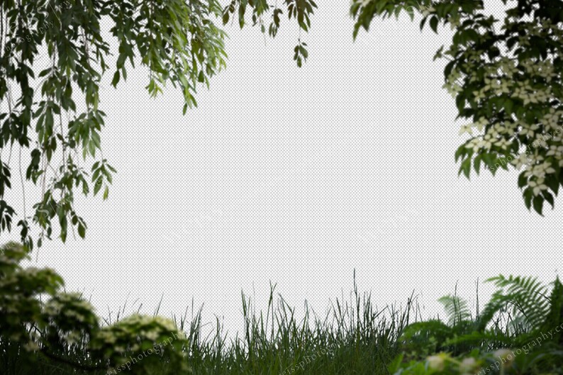 Spring Tree Log Overlay Easter Kids Background Photography - Etsy