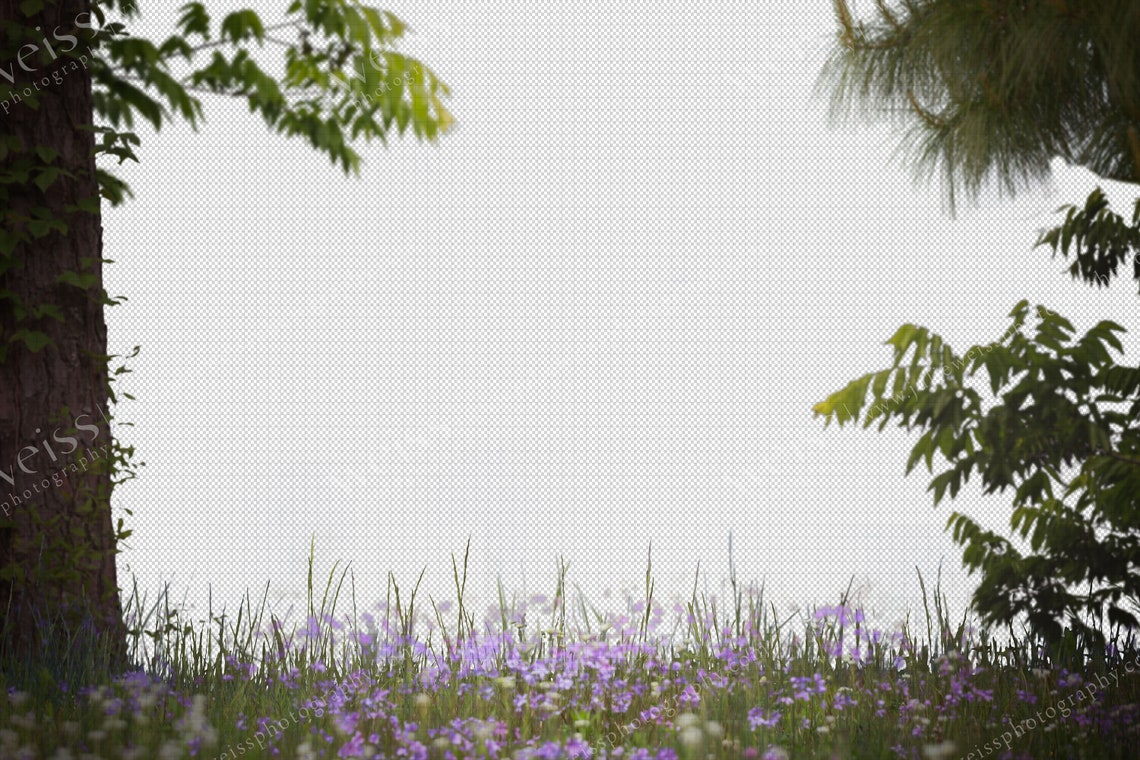 Spring Wall With Flowers With Grass Overlay Easter Kids - Etsy