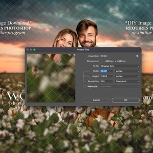 Cotton Field Sunset Background Digital Family Backdrop Cotton Overlay - Etsy