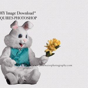 Easter Bunny Spring Flowers Digital Background Backdrop JPG PNG Overlay ...