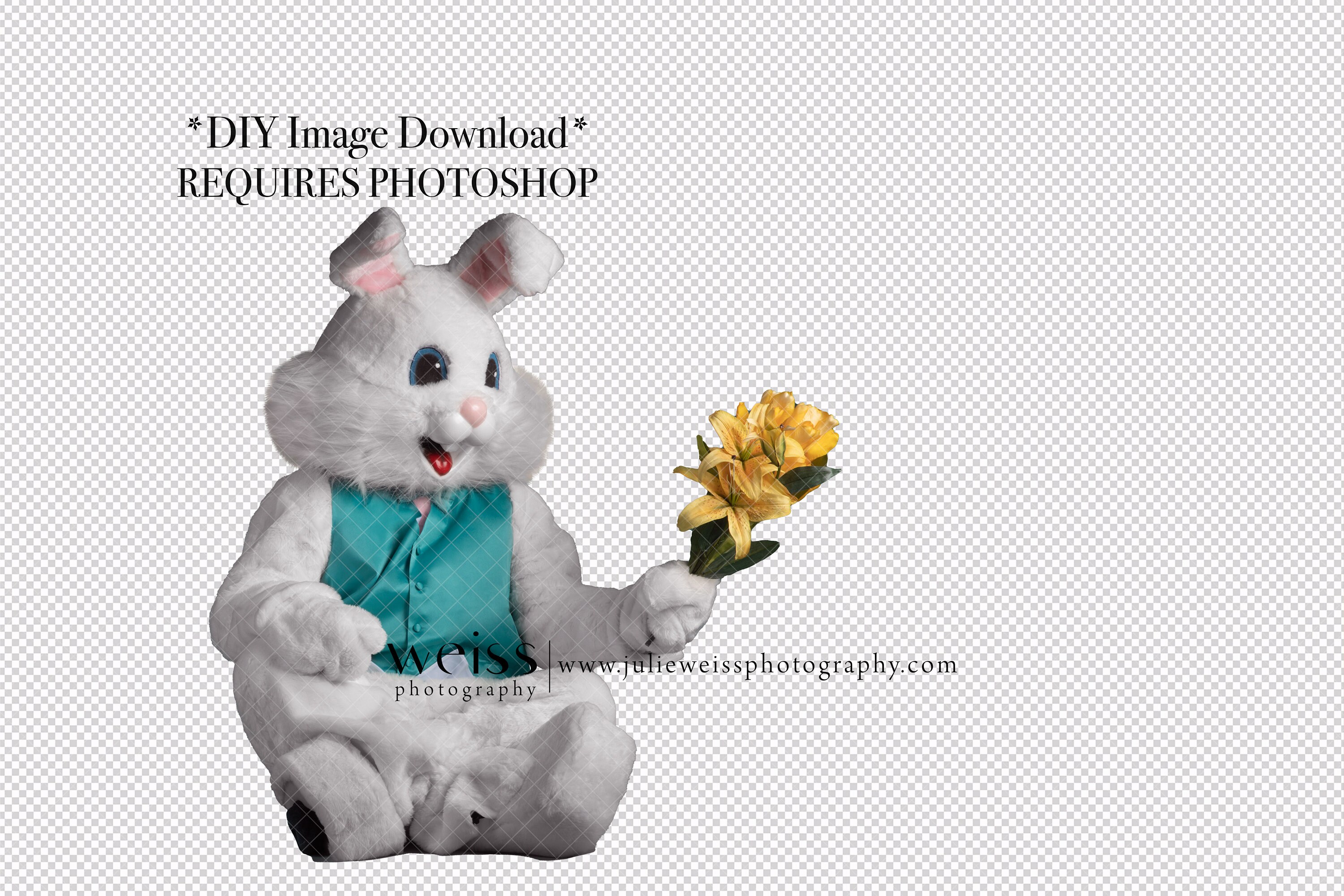 Easter Bunny Spring Flowers Digital Background Backdrop JPG PNG Overlay ...