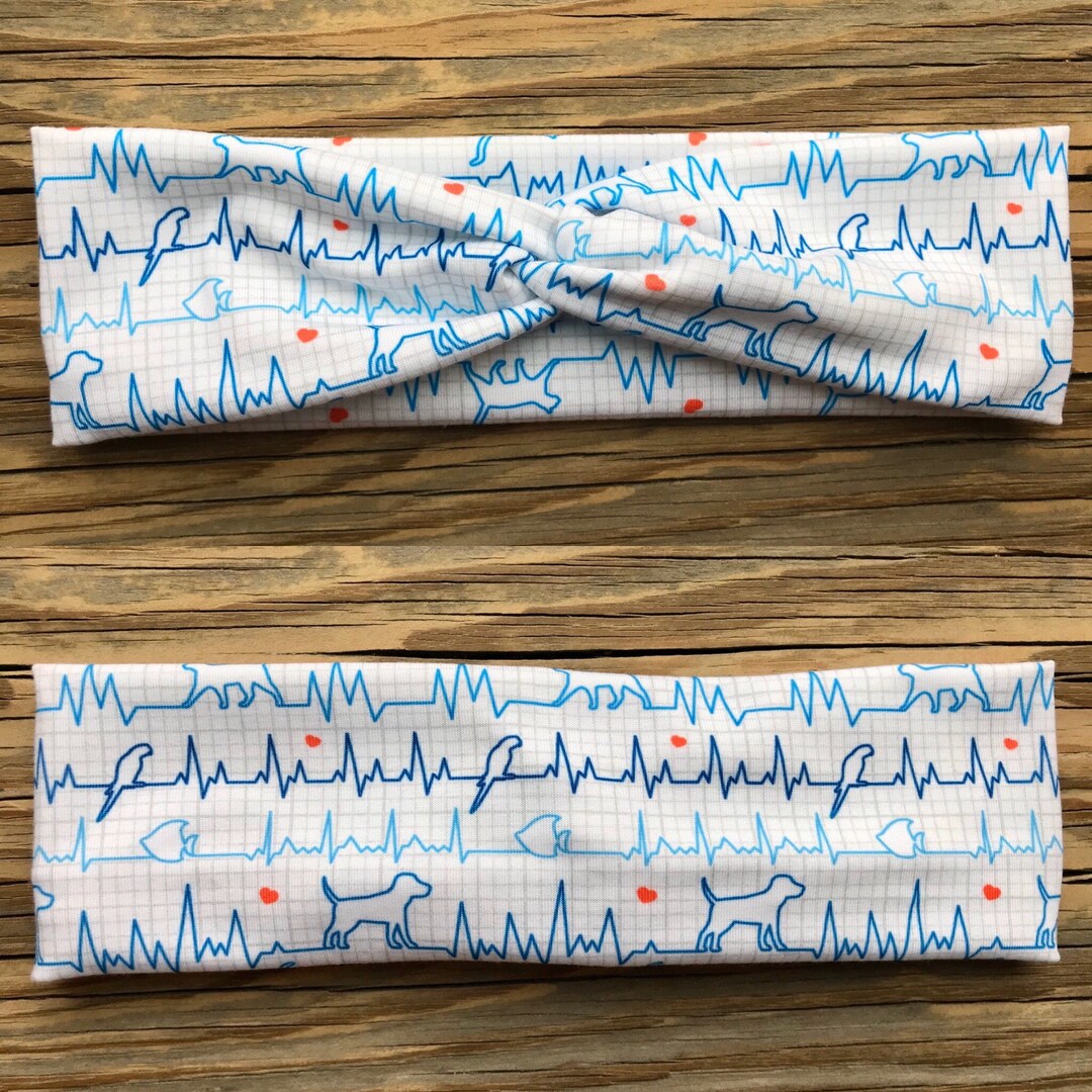 Medical Headband - Veterinary Medicine - College Graduation Gift for ...