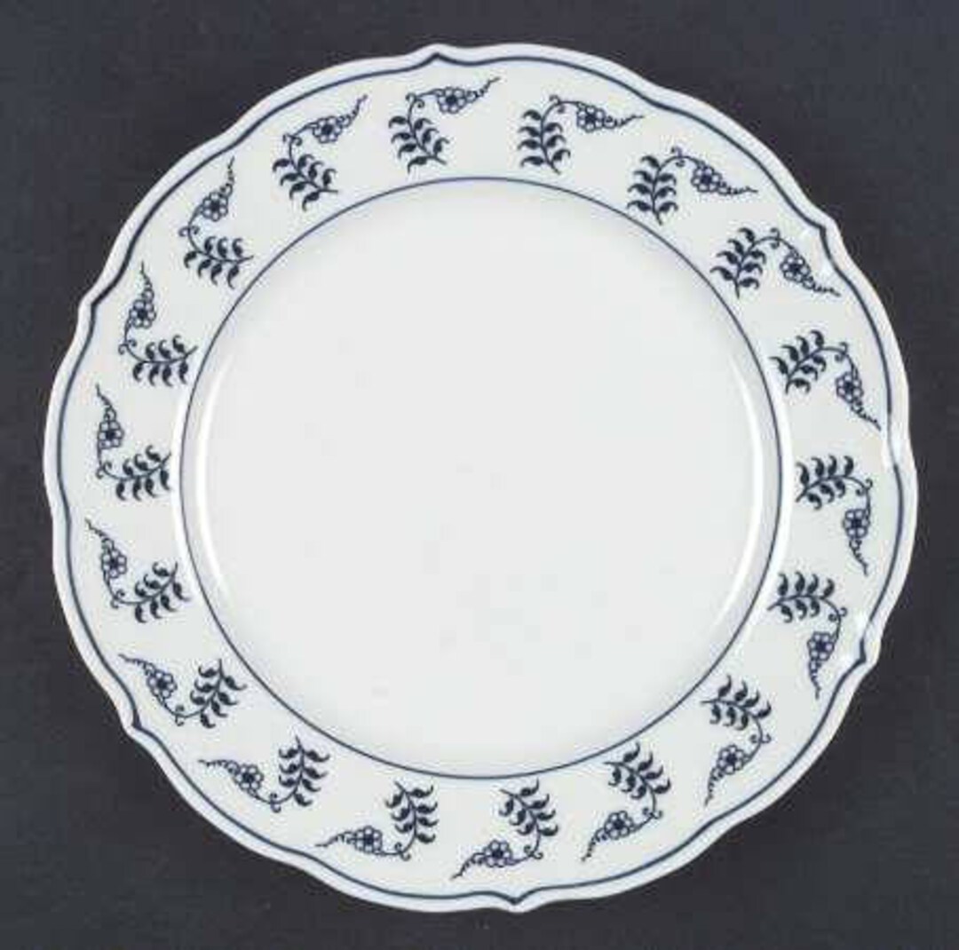 Vintage Blue Danube Blue Onion Rim Accent Plate - Etsy