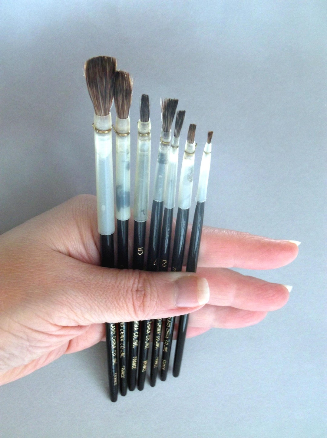 Maryland China Co France Vintage Kazan Squirrel Flat Shader Quill ...