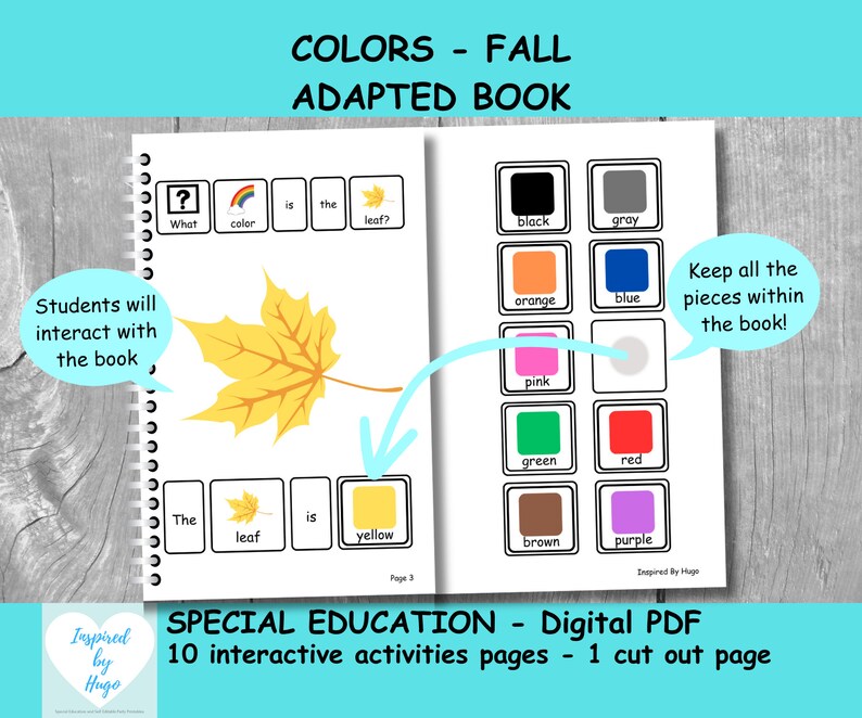 Fall Colors Adapted Book, Printable Adapted Book, Autism Resource ASD ...