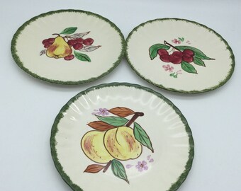 Blue Ridge Fruit - Etsy