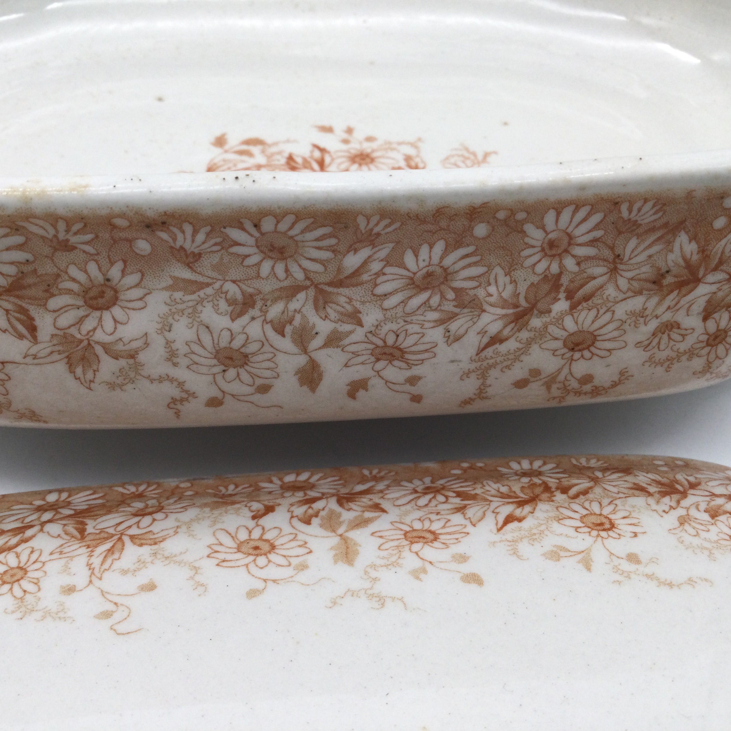 Antique T R Boote / Waterloo Potteries / Campania Pattern / - Etsy