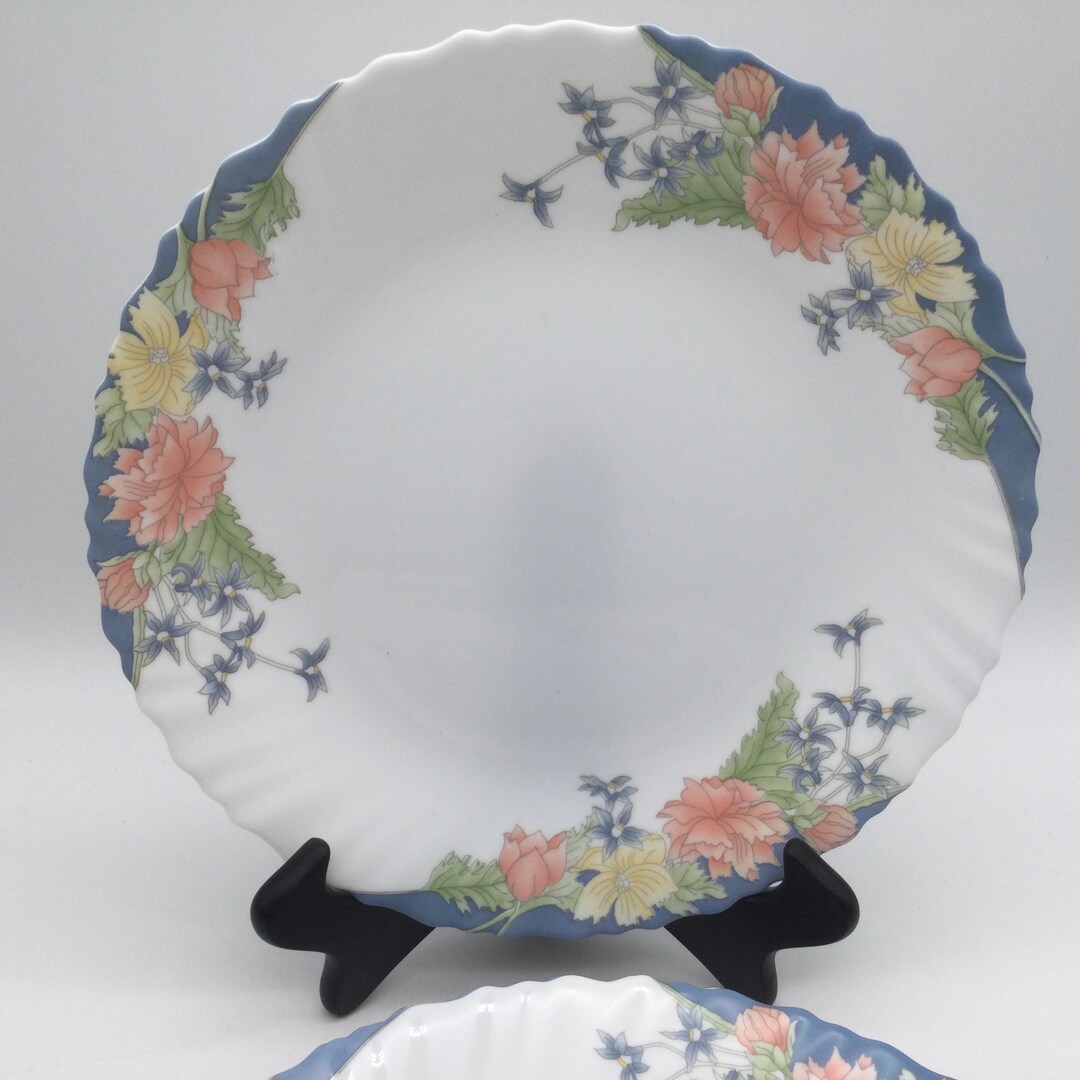 Vintage Arcopal France Florine Pattern / Set of 6 Luncheon Plates / 9 7 ...