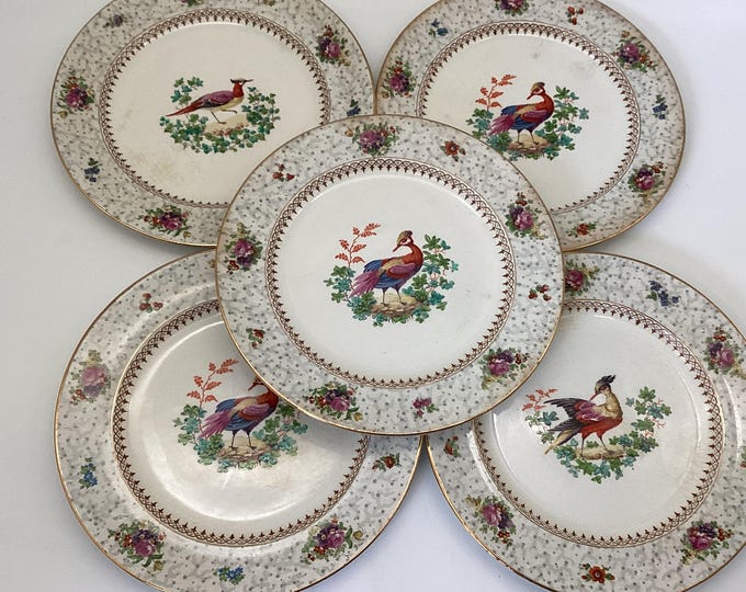 Antique Booths Silicon China Pattern 9571 Exotic Pheasant Set of 5 ...
