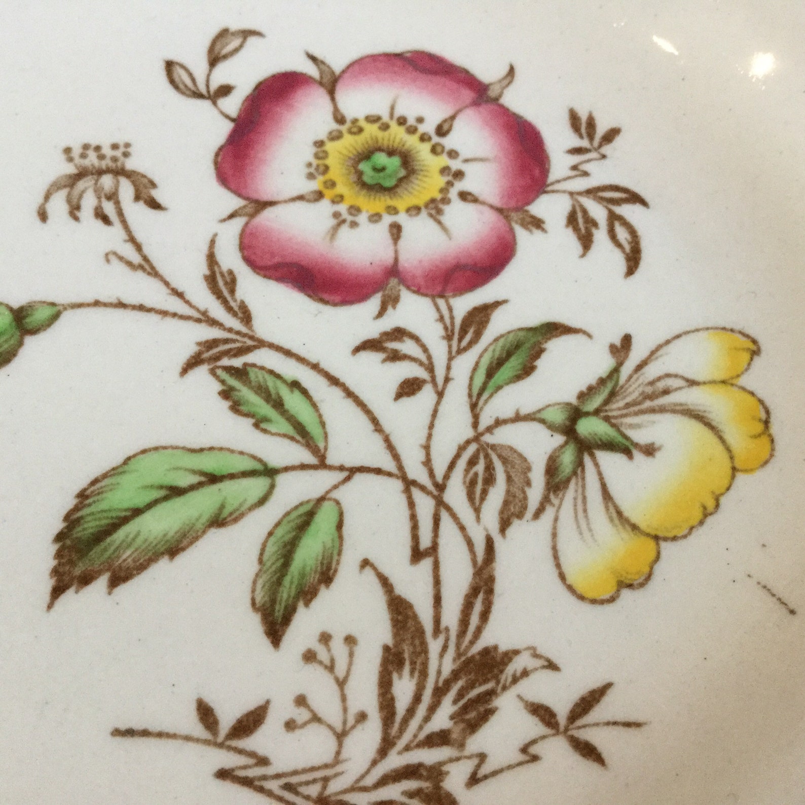 John Maddock & Sons Fairy Rose Pattern / Small Vitrified Oval | Etsy