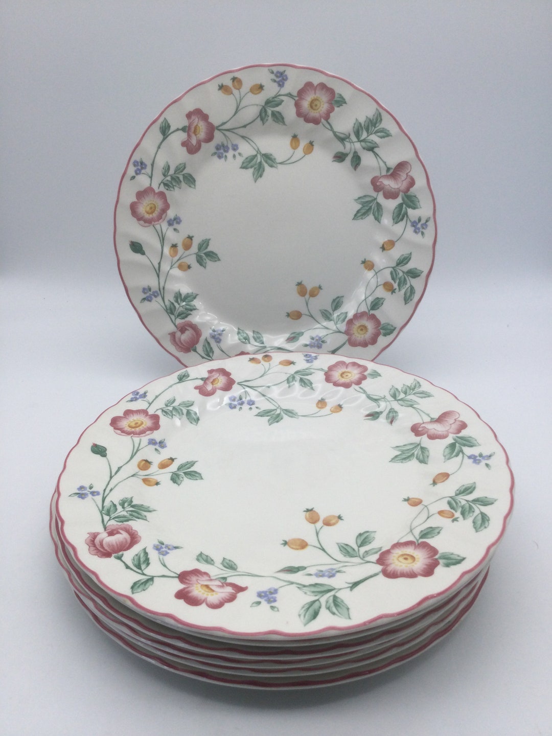 Churchill Briar Rose Set of 7 Dinner Plates / England / Discontinued ...