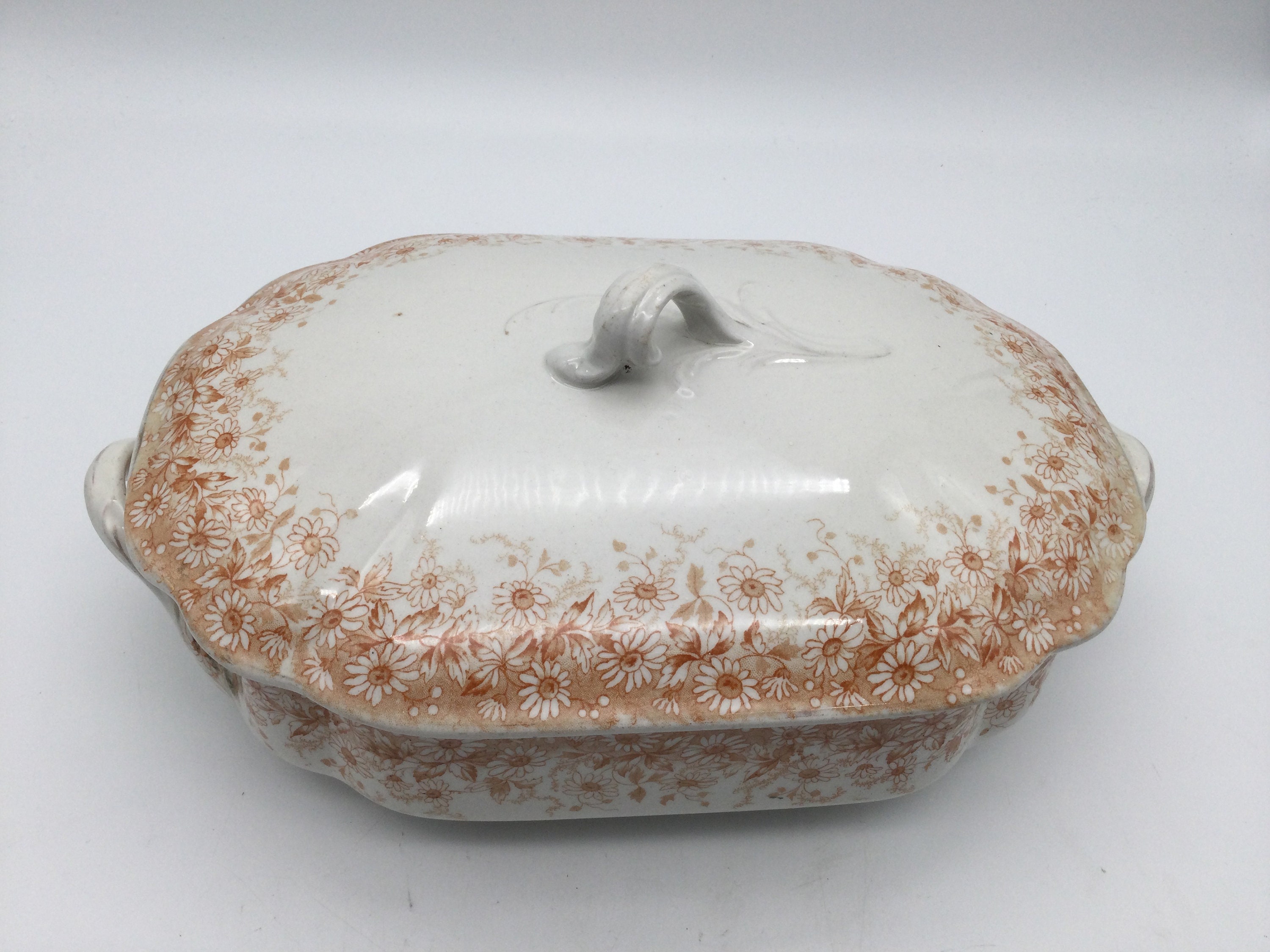 Antique T R Boote / Waterloo Potteries / Campania Pattern / - Etsy