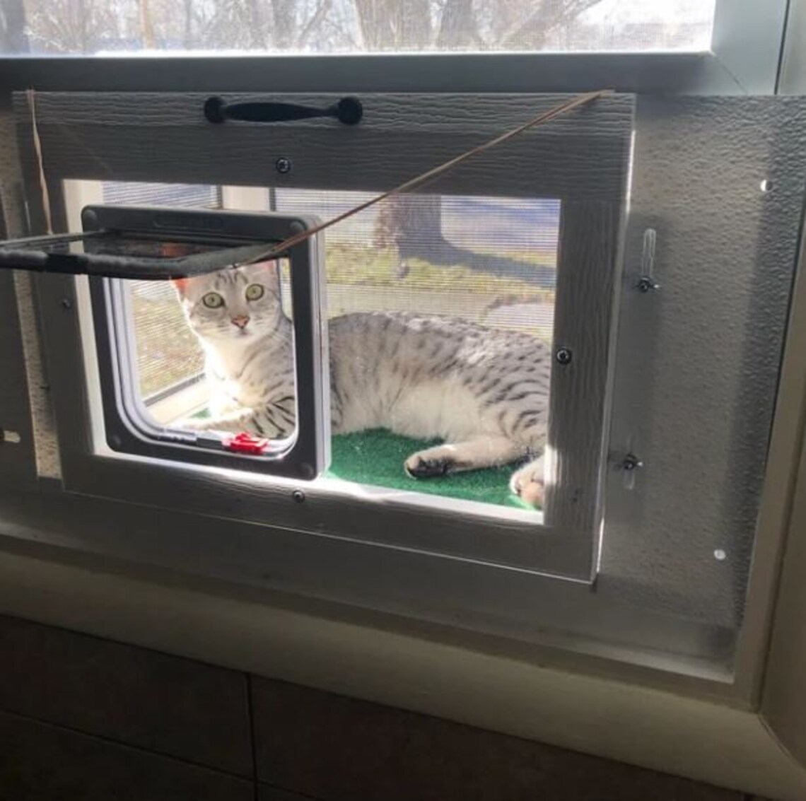 18 Inch Deluxe KP Cat Window Patio-catio-solarium small - Etsy