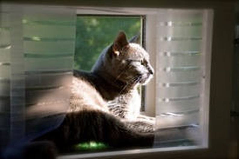18 Inch Standard Cat Window Catio (small Model) - Etsy