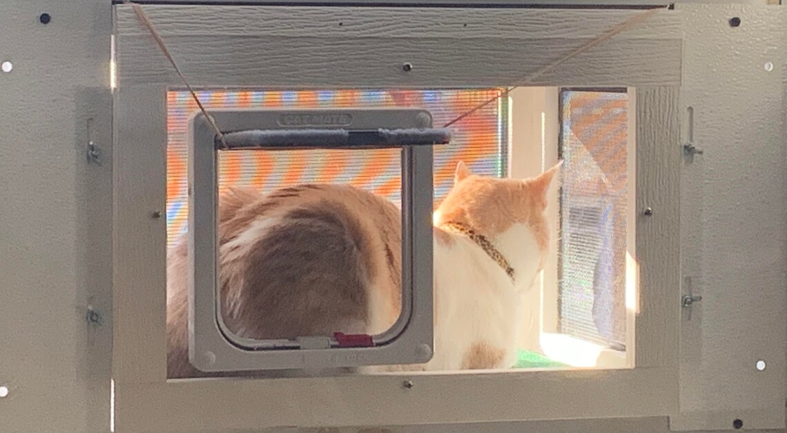 18 Inch Deluxe KP Cat Window Patio-catio-solarium small - Etsy