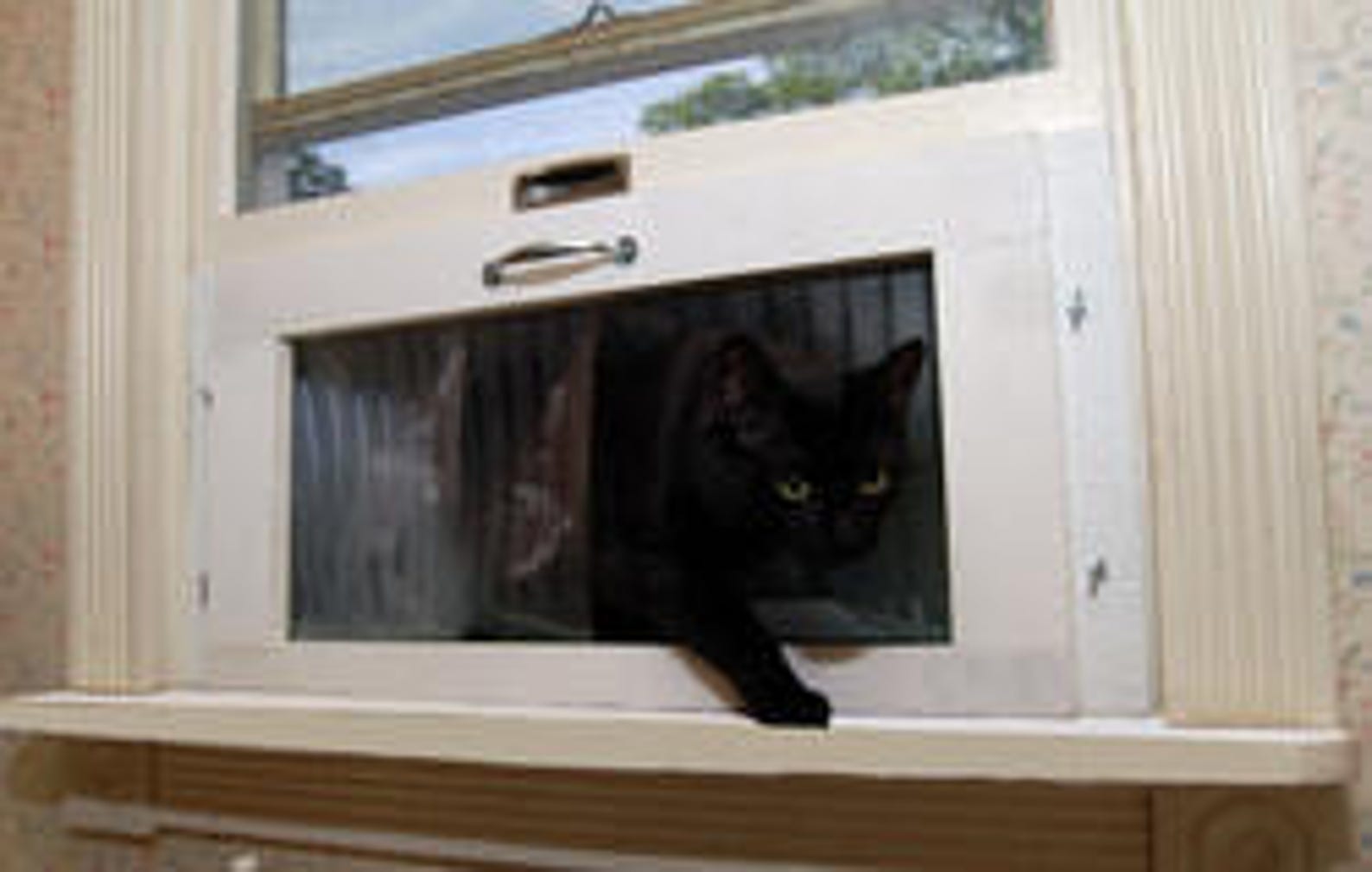 24 Inch Regular KP Cat Window Patio Catio Solarium large - Etsy