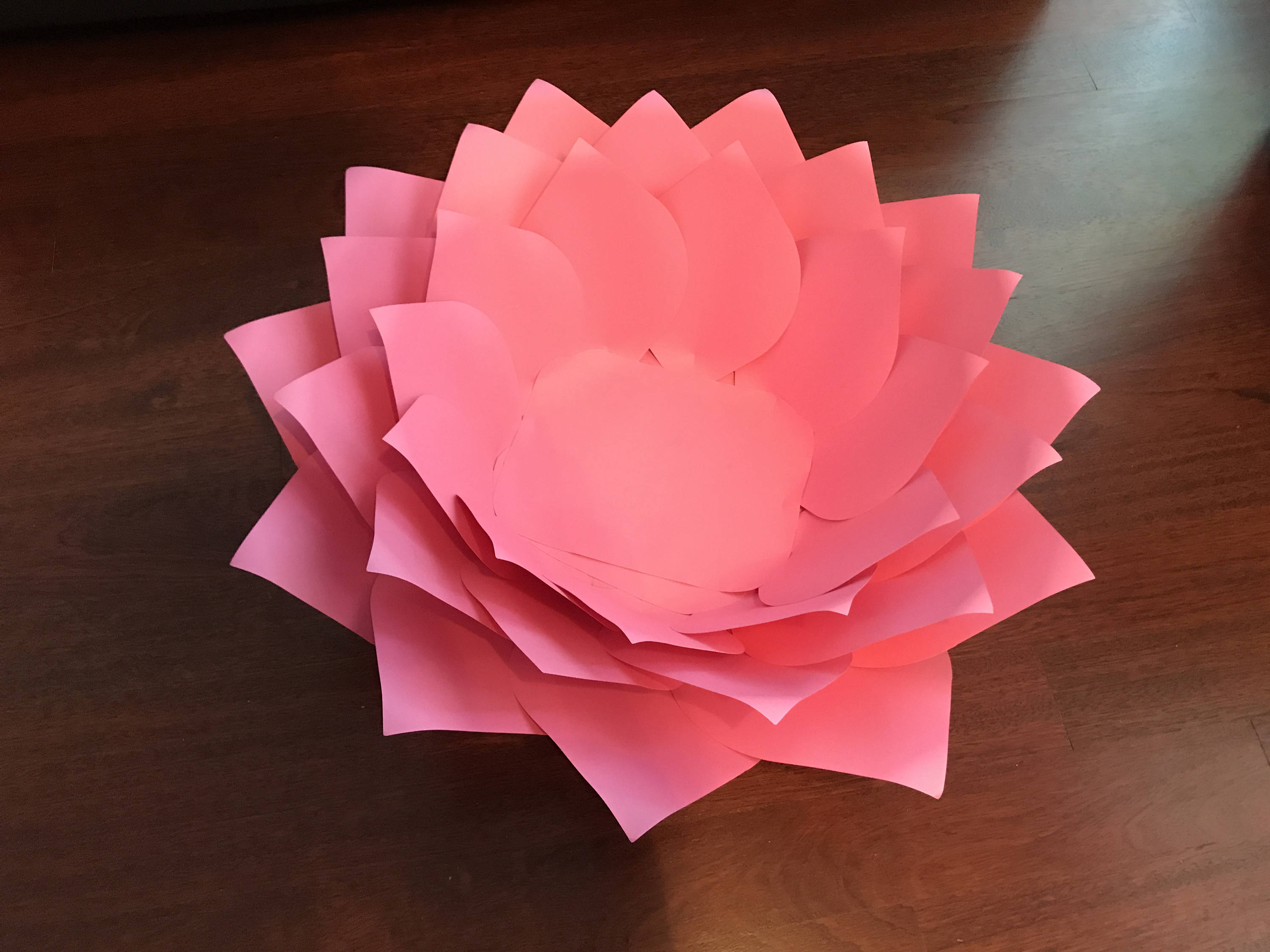 Newborn Baby Paper Flower Prop Photography Baby Shower Photo - Etsy