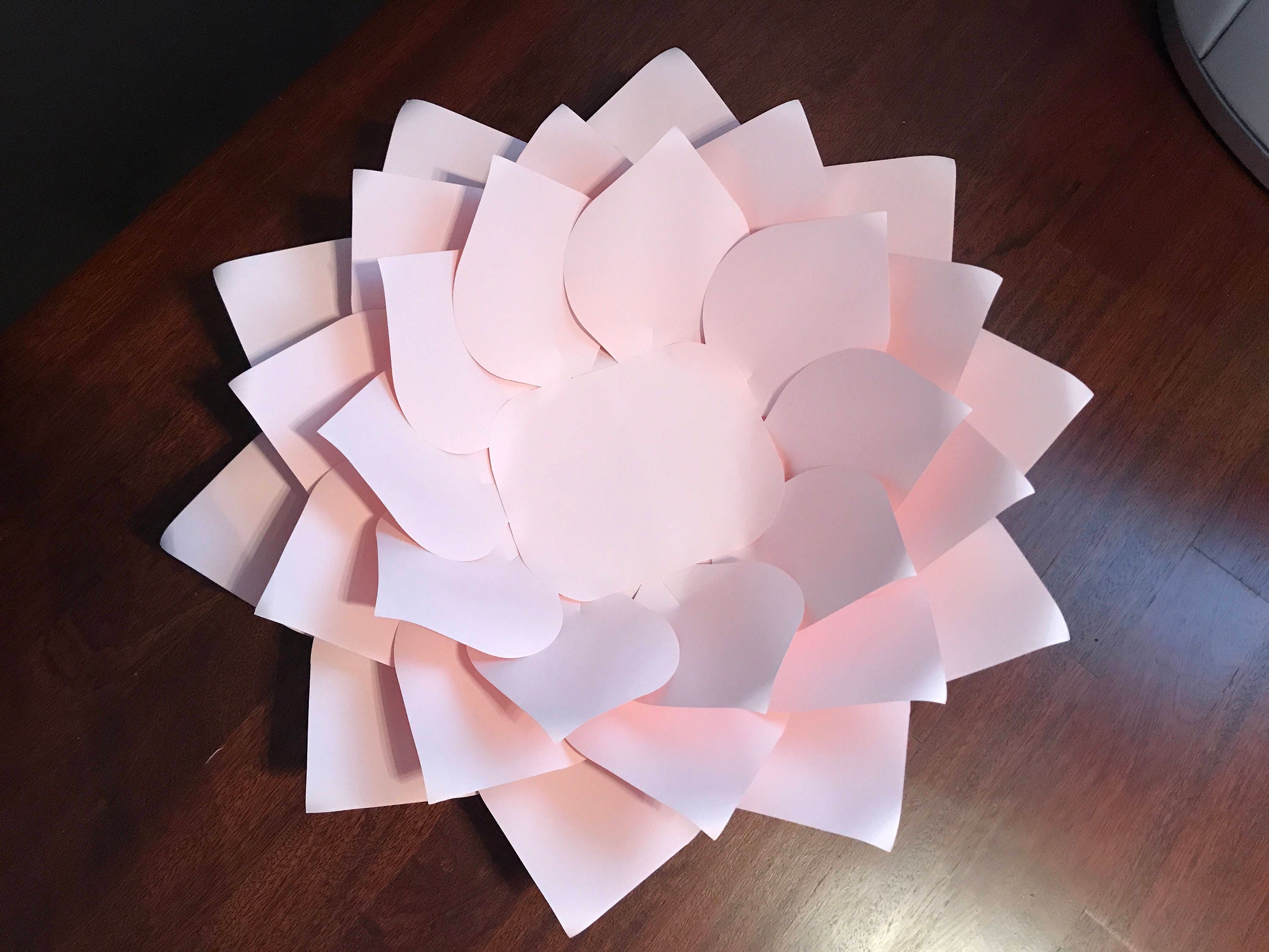 Newborn Baby Paper Flower Prop Photography Baby Shower Photo - Etsy