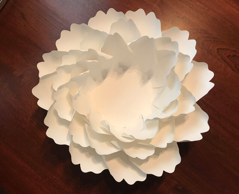 Newborn Baby paper Flower Prop photography maternity baby | Etsy