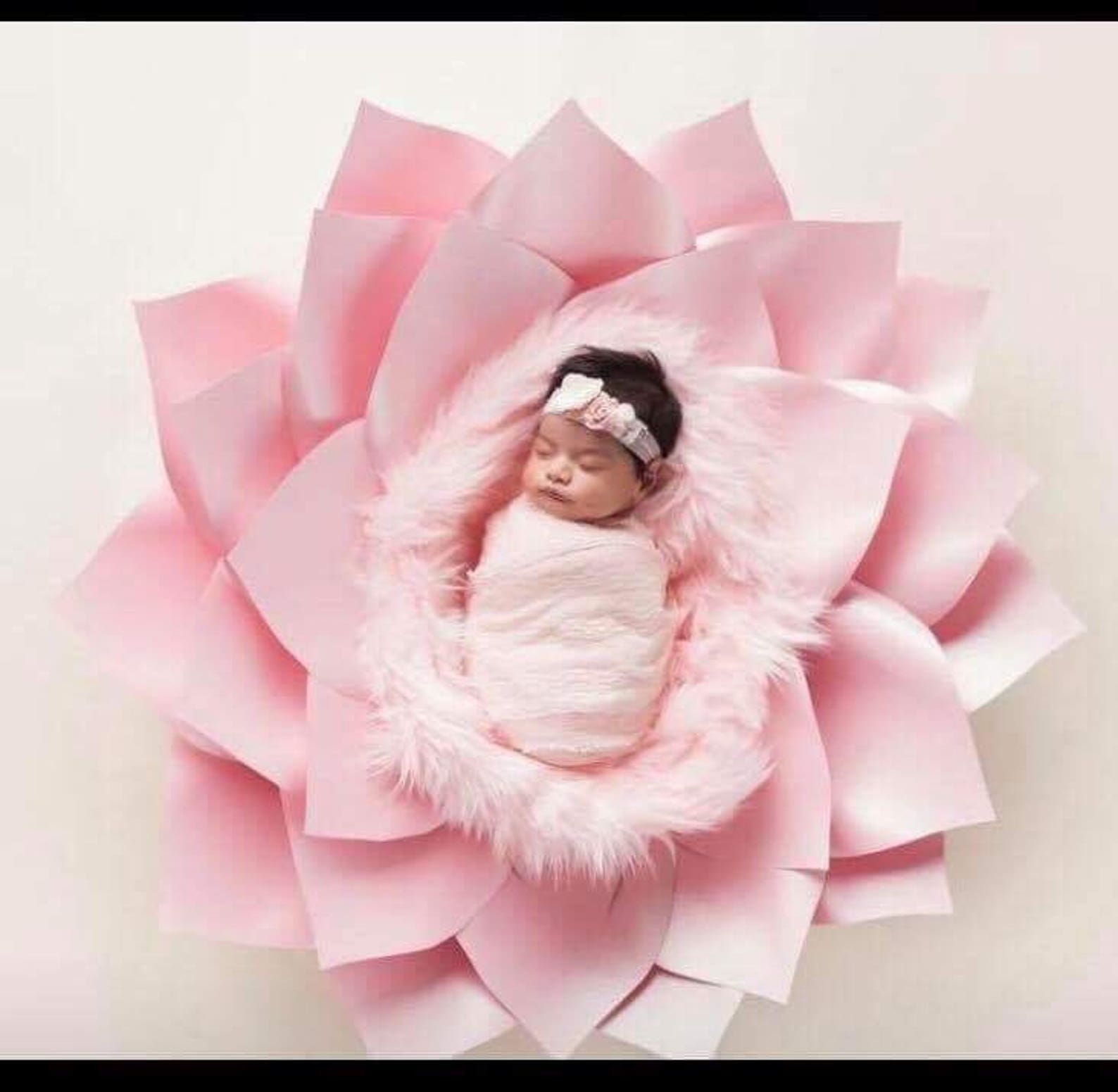 Newborn Baby Paper Flower Prop Photography Baby Shower Photo - Etsy