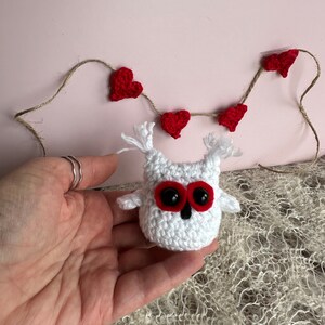 Valentine Crochet Owl, Ollie the Owl, Unique Nature Gift, Owl Amigurumi ...