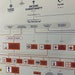Christian Denominations Family Tree Poster - Etsy