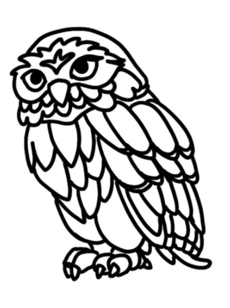 Wizarding School Read Aloud Coloring Pages - Etsy