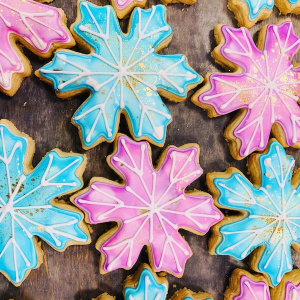 Frozen Cookies - Etsy