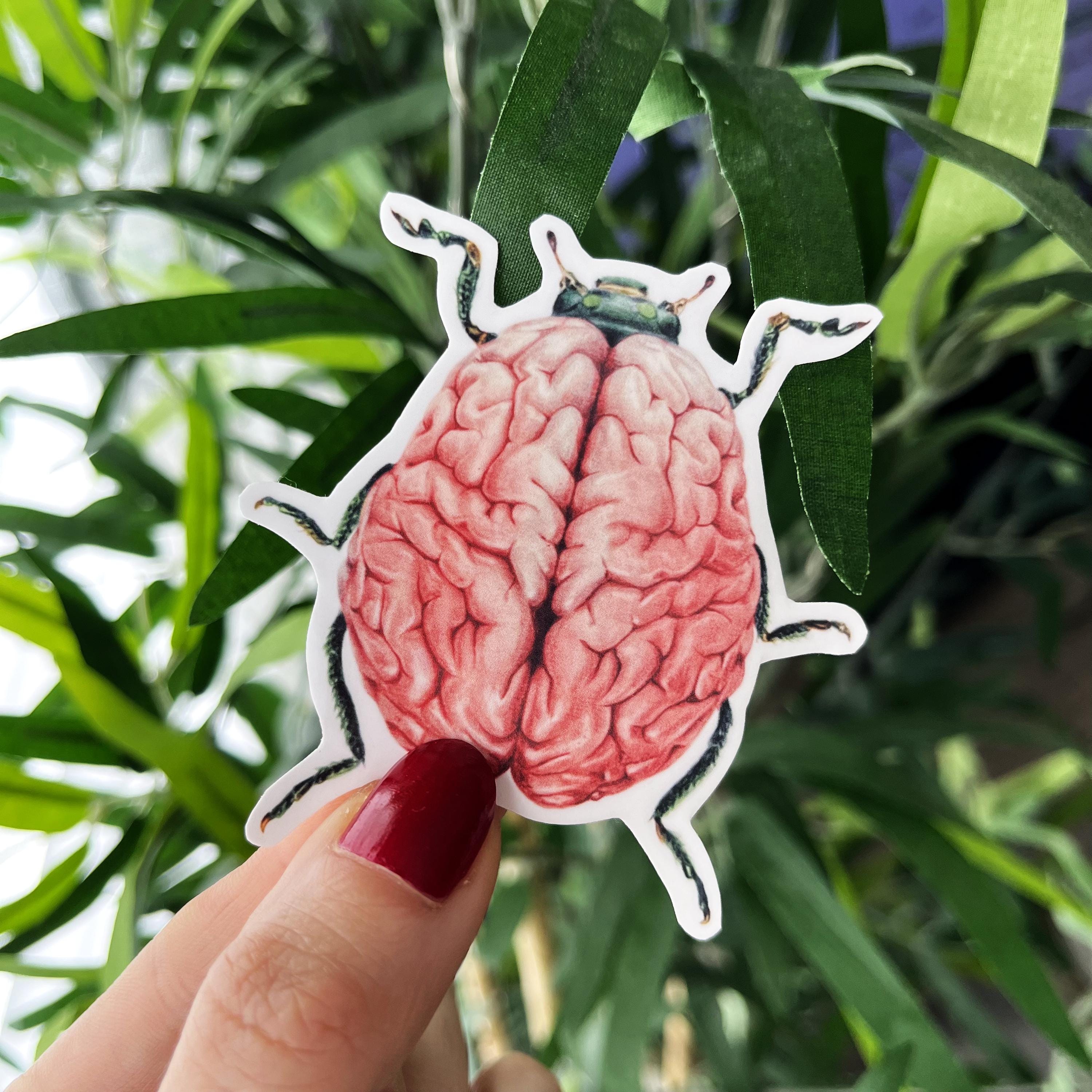 Thinker’s Beetle Vinyl Sticker – Brain Insect, Scientific Illustration ...
