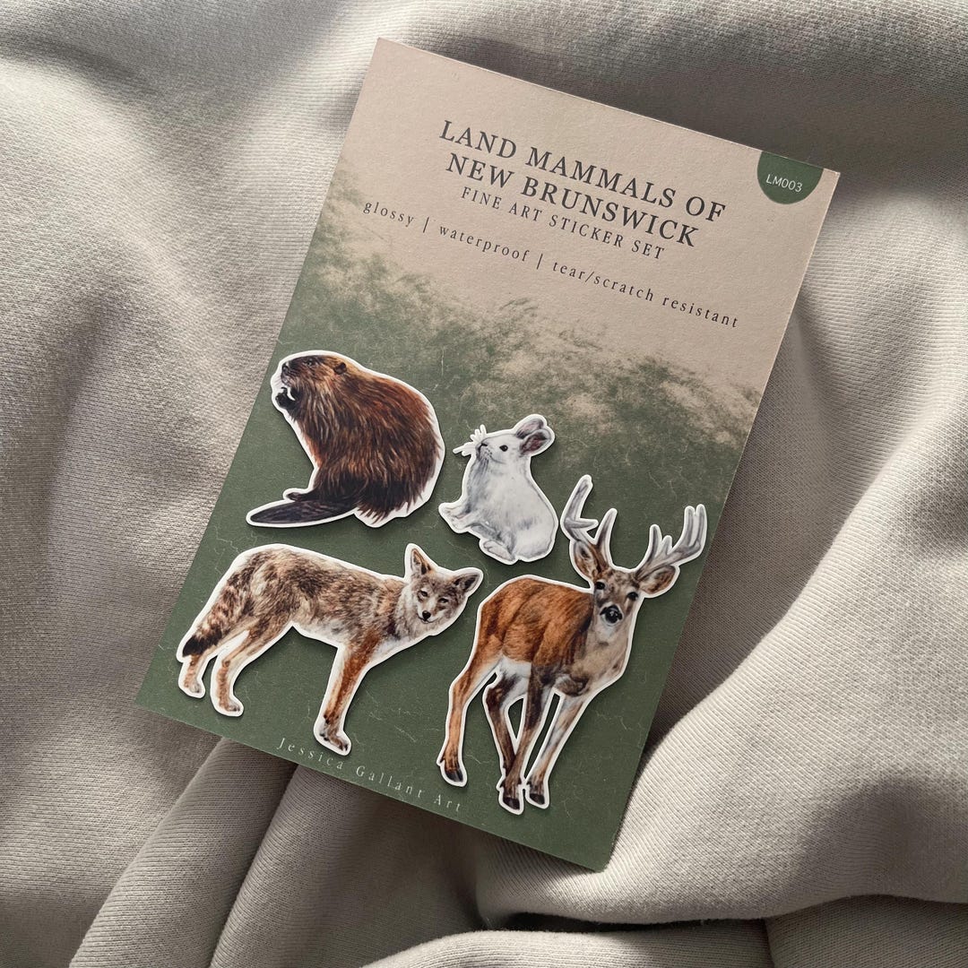 Land Mammal Sticker Set Mini Print Set New Brunswick Mammals Gift for ...