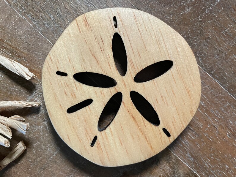 Sand Dollar Tropical Beach Coaster Set of 4 - Etsy