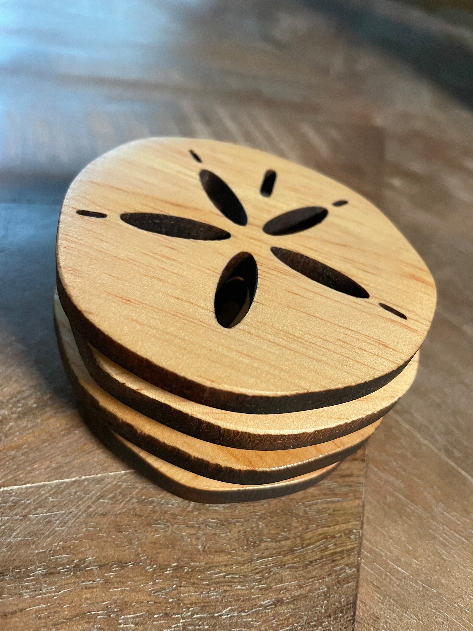 Sand Dollar Tropical Beach Coaster Set of 4 - Etsy