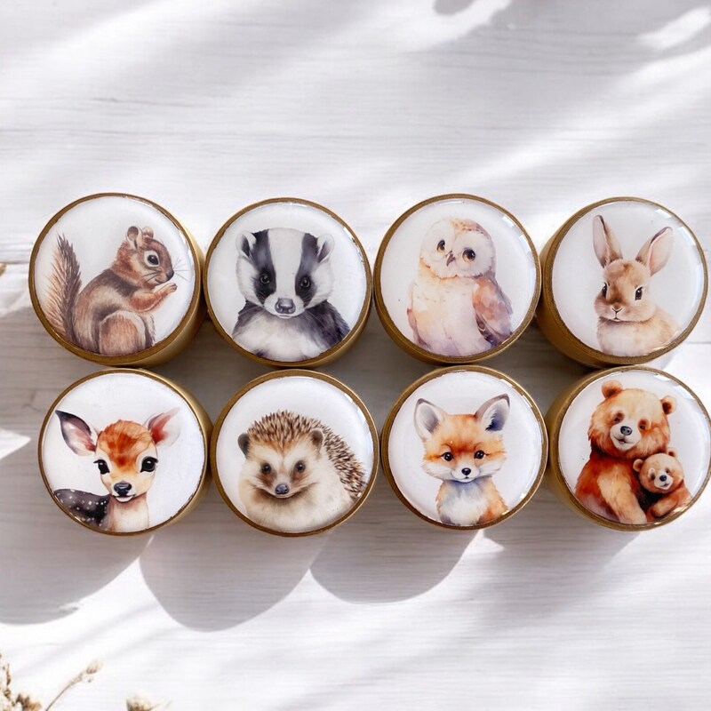 Animal Knobs - Etsy