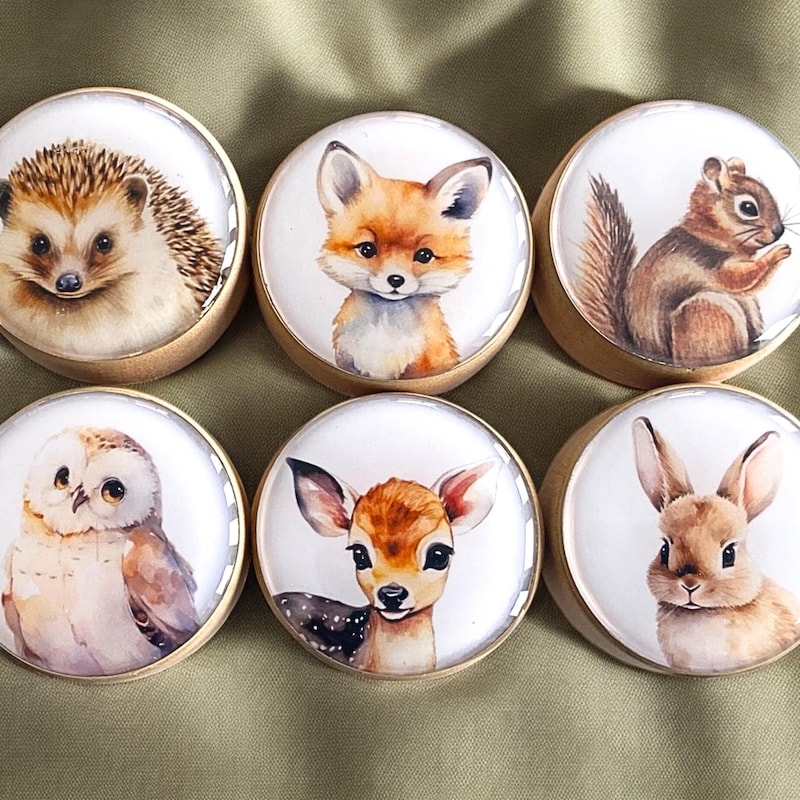 Animal Knobs - Etsy