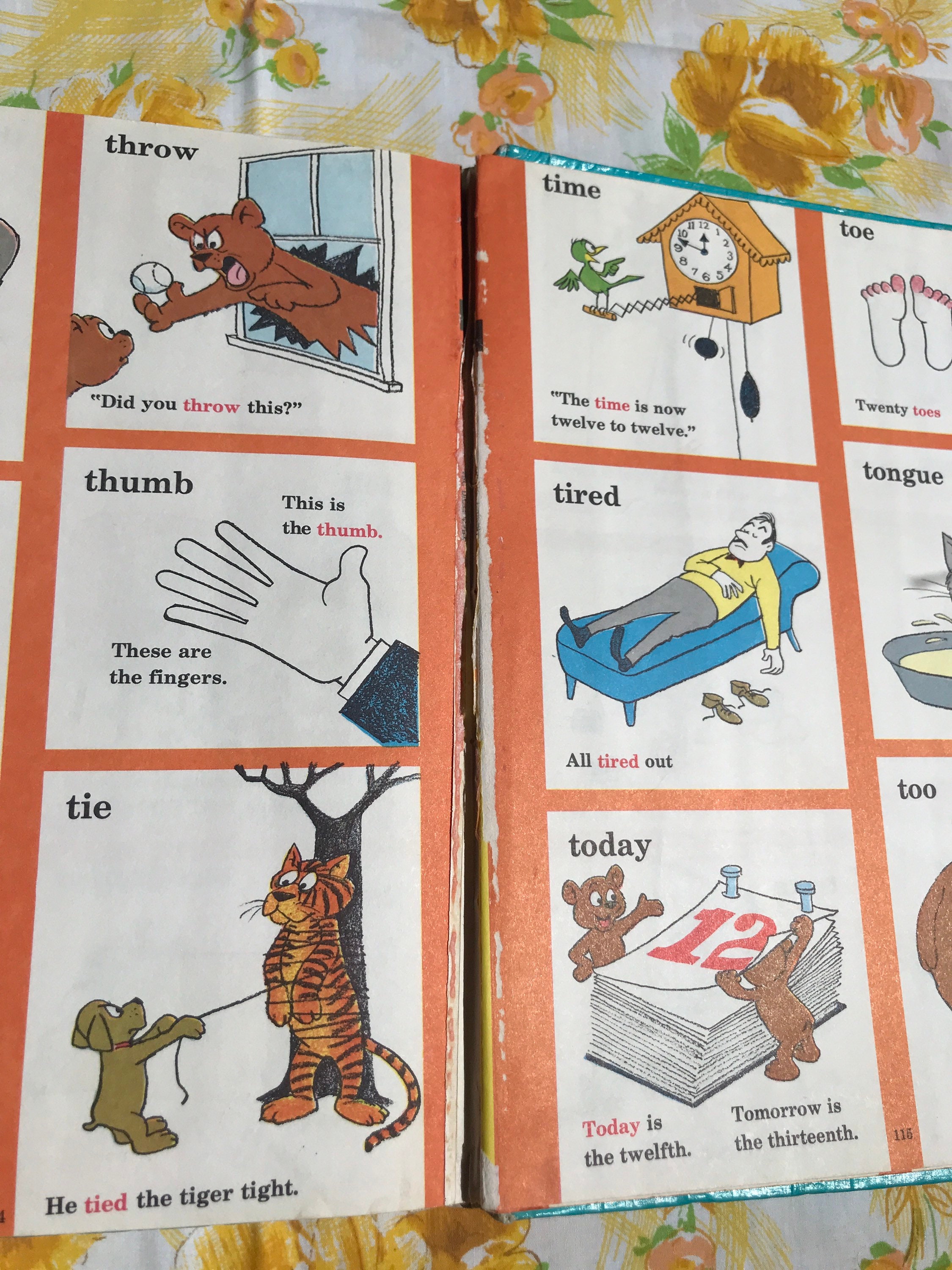 The Cat in the Hat Beginner Book Dictionary by the Cat Himself PD ...