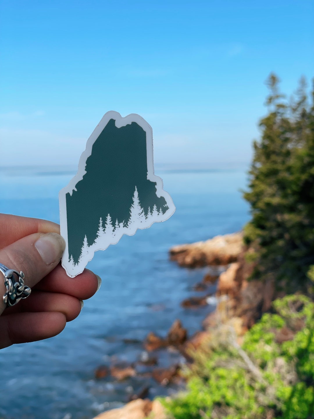 Maine Pine Tree Coast Sticker | Waterproof Sticker | Maine | Maine ...
