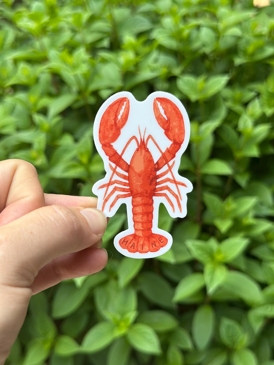 Maine Lobster Sticker | Lobster Boat Sticker | Maine Sticker ...