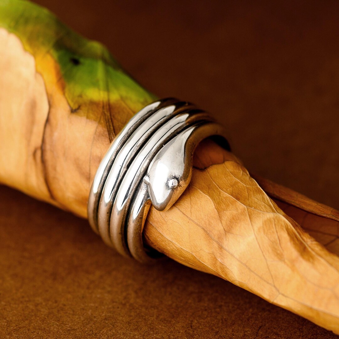 Snake Fidget Ring | Sterling Silver Spinner Ring, Boho Nature Jewelry ...