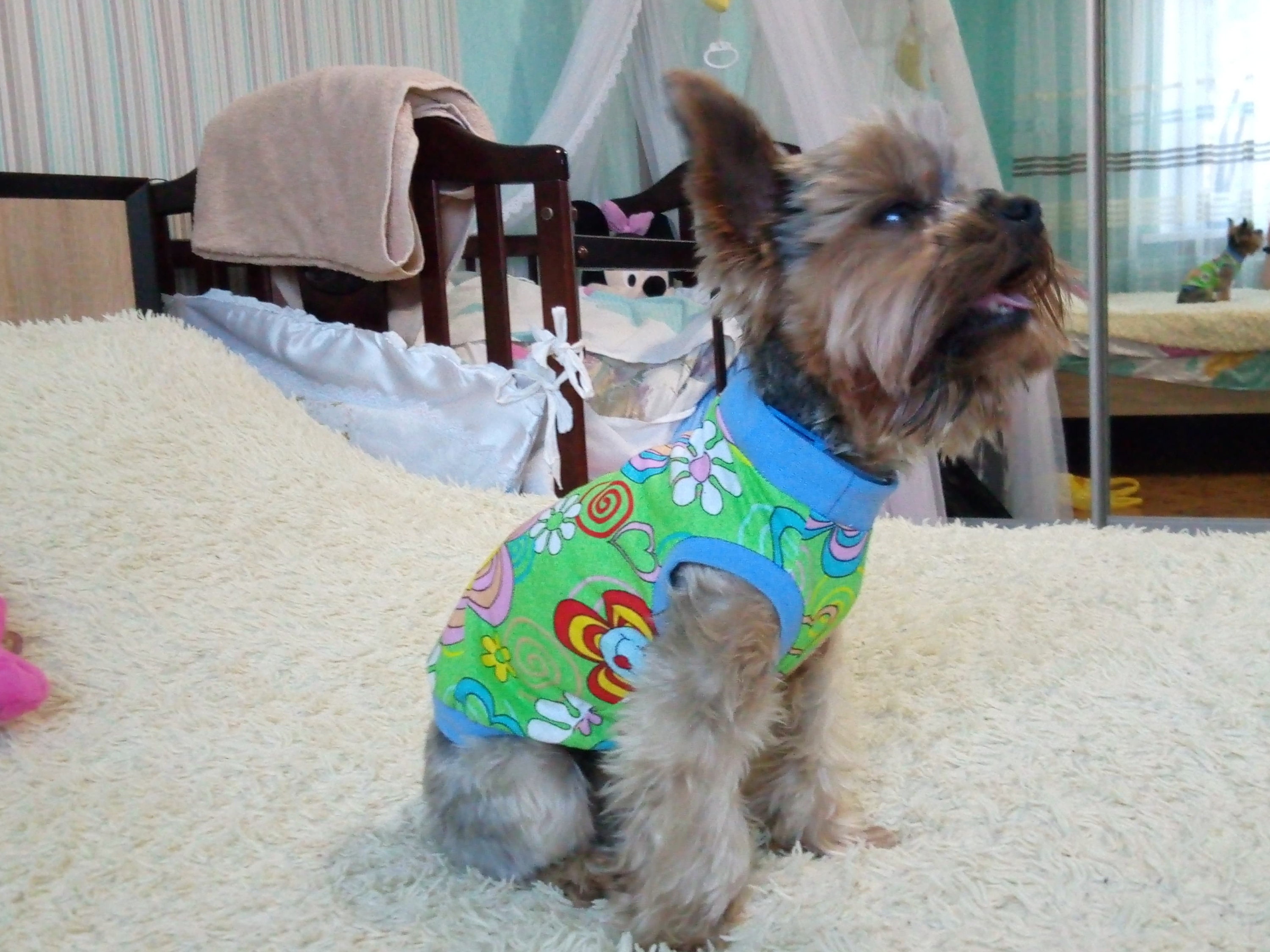 Ropa de perro perro ropa perro Top pequeña camisa para | Etsy