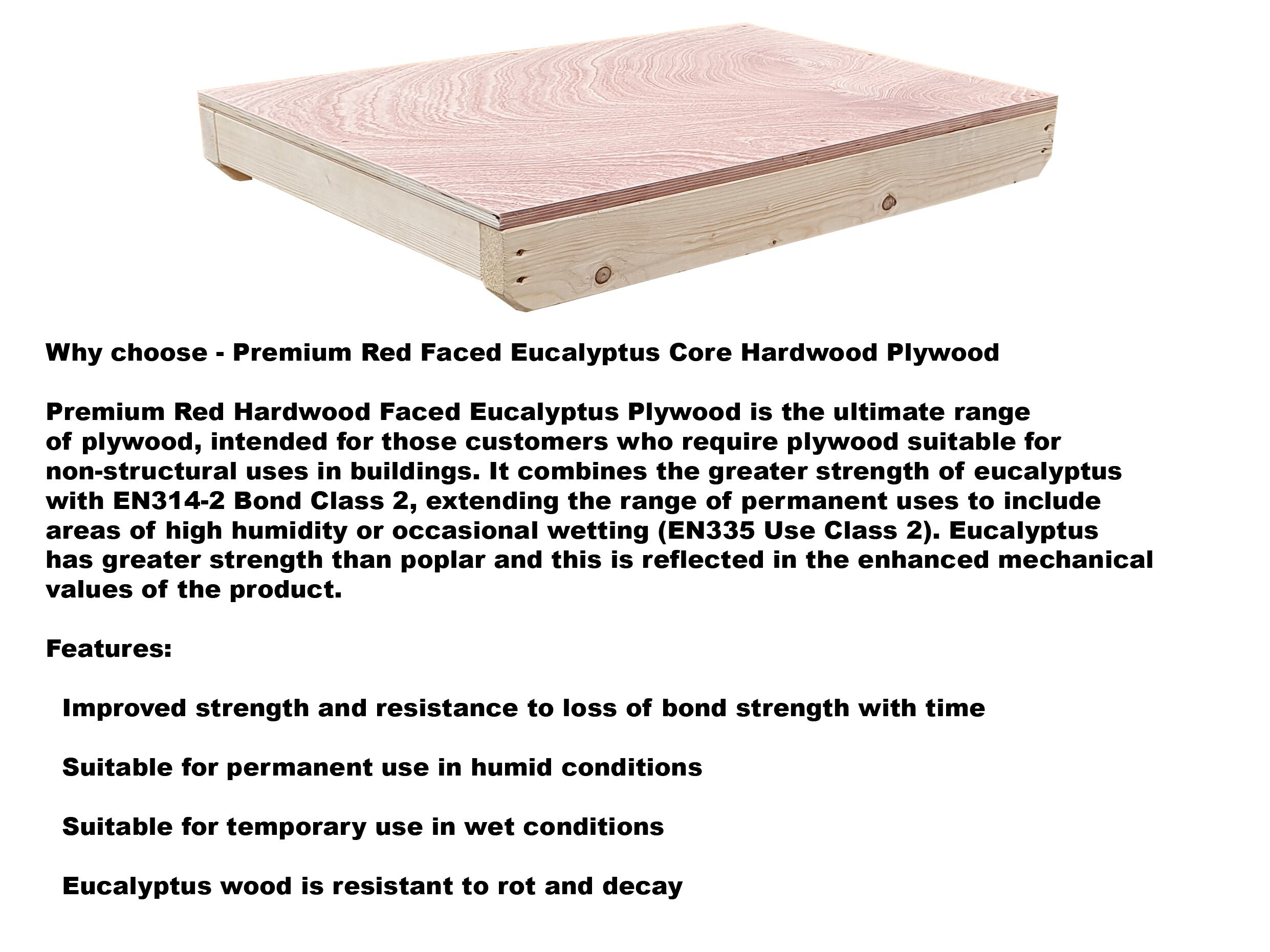 Wooden Workbench Workmate Free Express Delivery Double | Etsy UK