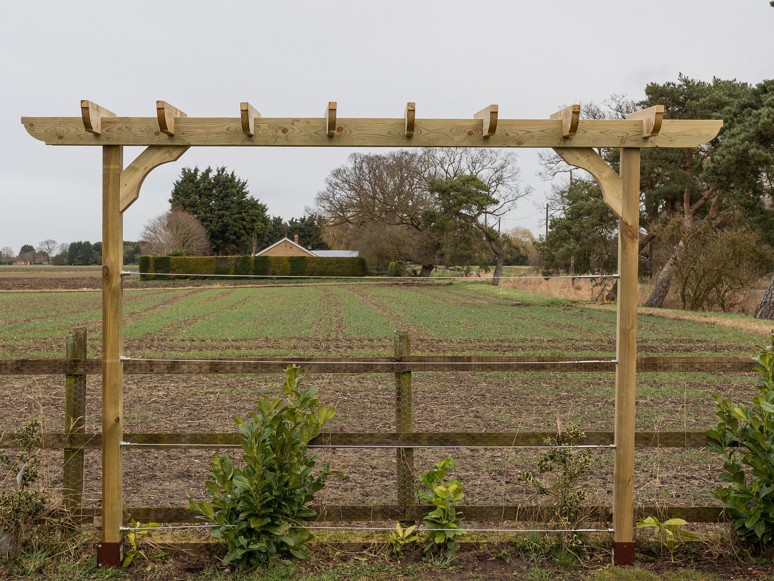 Corbel Double Beam Pergola Plant Climbing Arbour Sculpted - Etsy