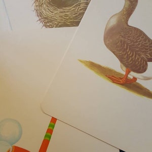 Vintage 1970s Era Vocabulary Flash Cards. Full Color Graphics - Etsy