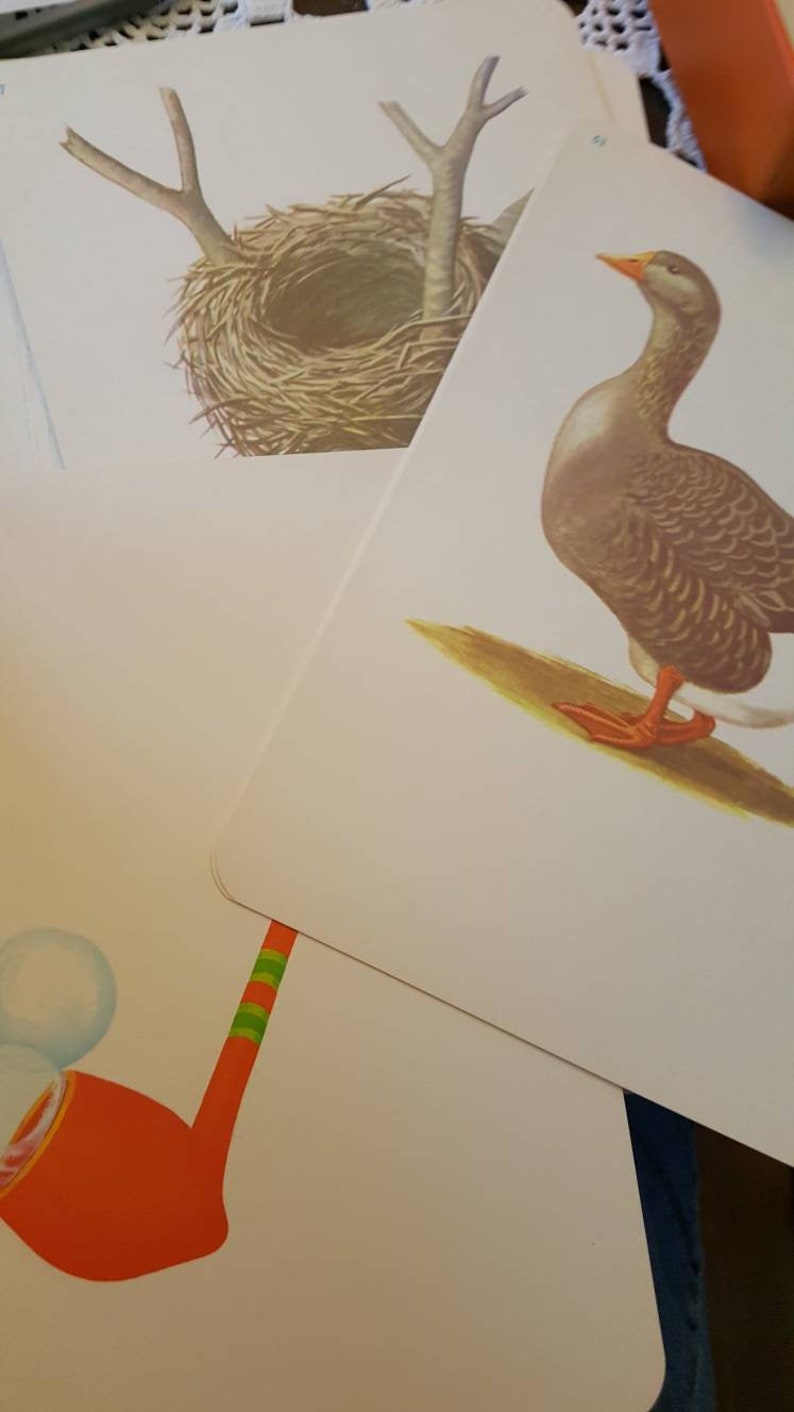 Vintage 1970s Era Vocabulary Flash Cards. Full Color Graphics - Etsy