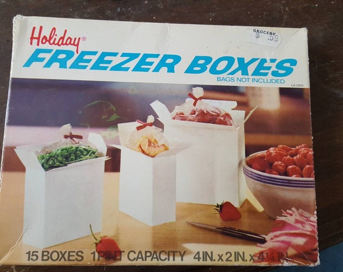 Cold Spot Freezer Carton Containers Boxes 25 Pint Boxes - Etsy