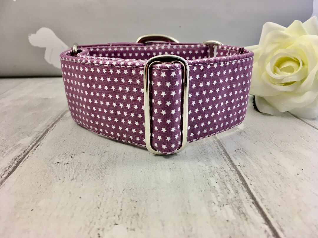 Collier pour chien | Collier martingale | Collier martingale violet ...