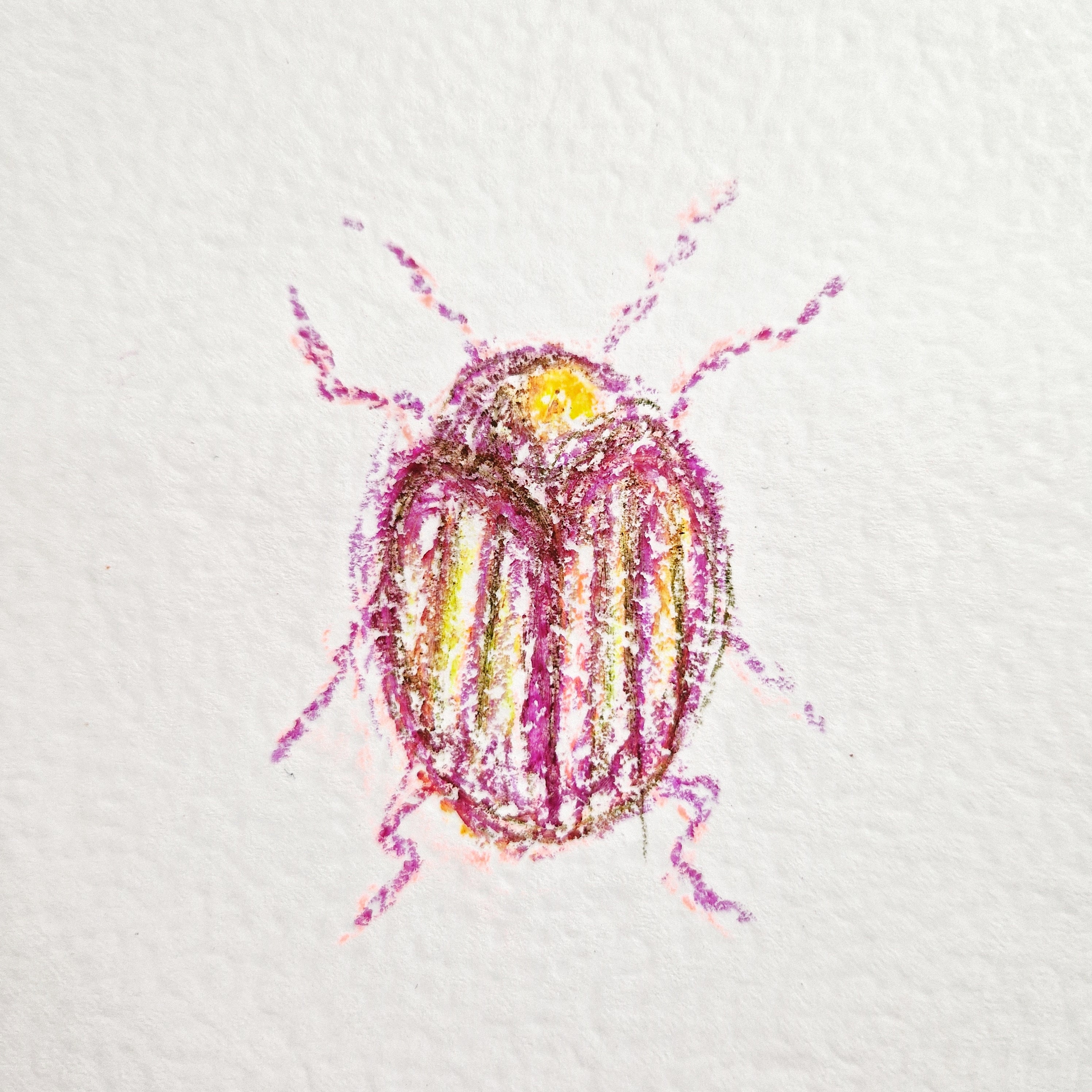 Colorful Beatle Sketch, Original Drawing, Oil Pastel, Mininmalist ...