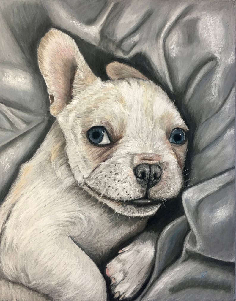 Custom Pet Portrait in Pastel - Etsy