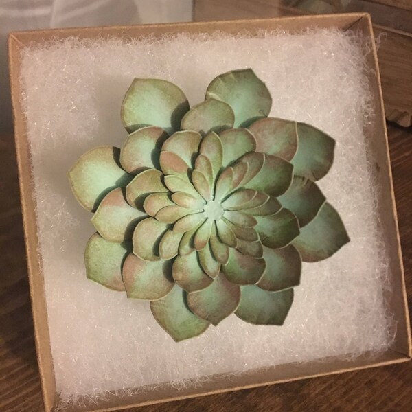 Paper Succulents - Etsy