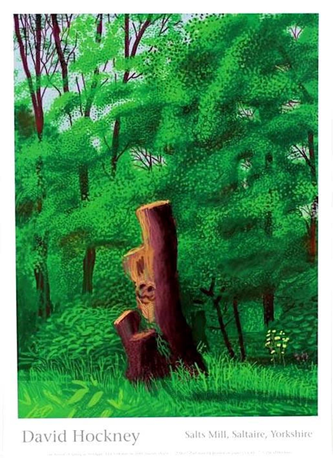 DAVID HOCKNEY - 'the Arrival of Spring' - Original Exhibition Poster ...