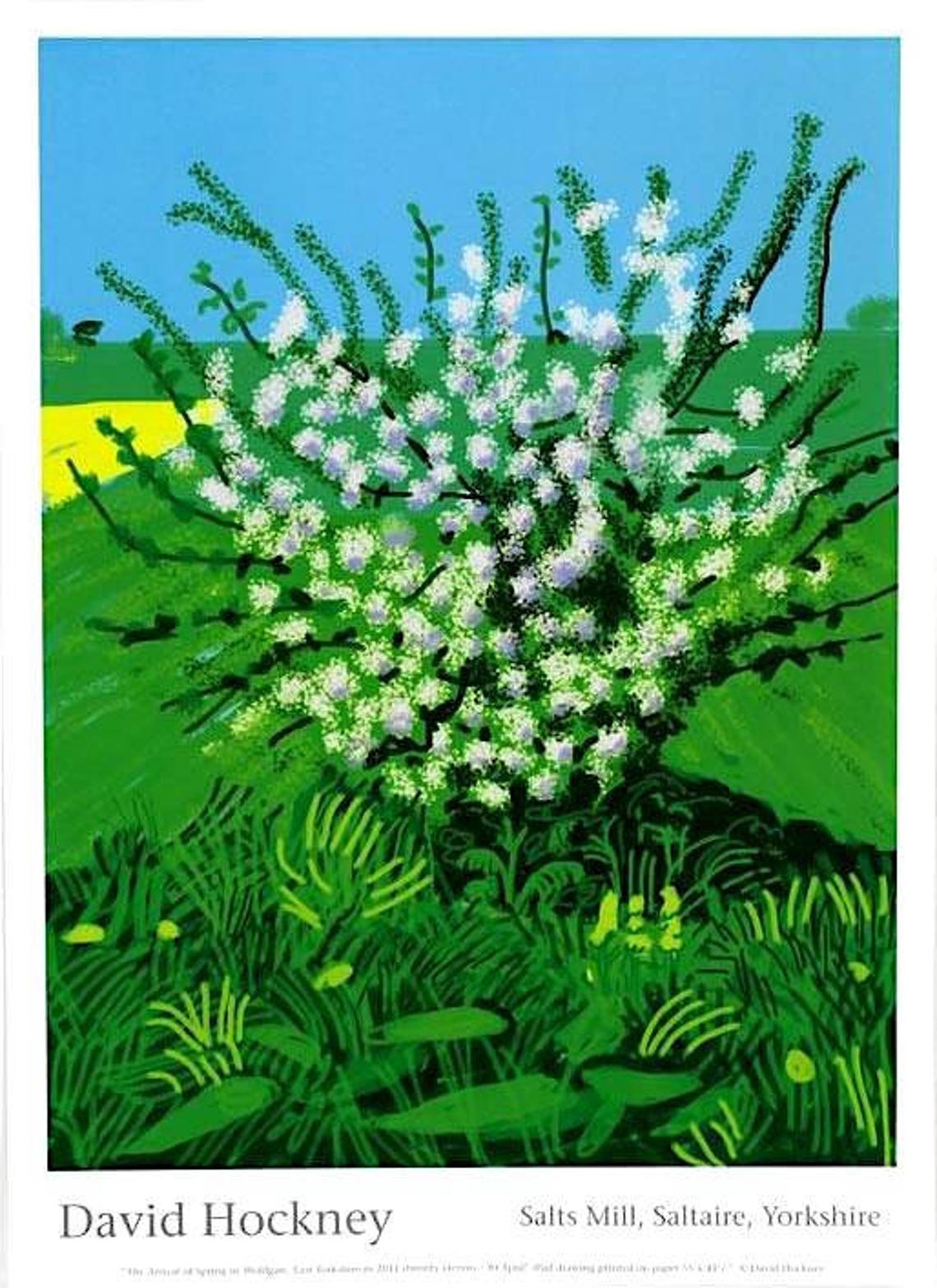 DAVID HOCKNEY - 'the Arrival of Spring' - Original Exhibition Poster ...